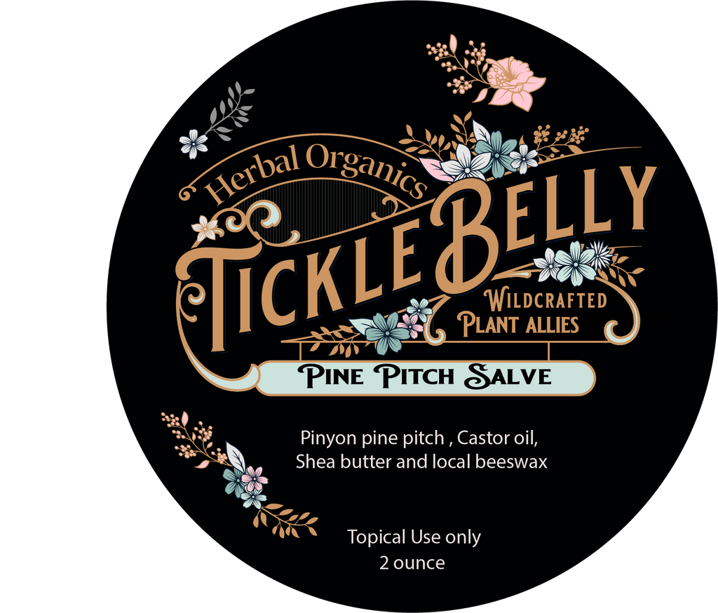 Pine Pitch Salve – Ticklebelly Herbal Organics, LLC